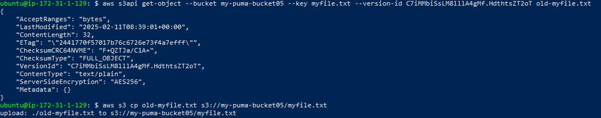 How to Enable S3 Versioning and Manage File Versioning How to Enable S3 Versioning and Manage File Versioning